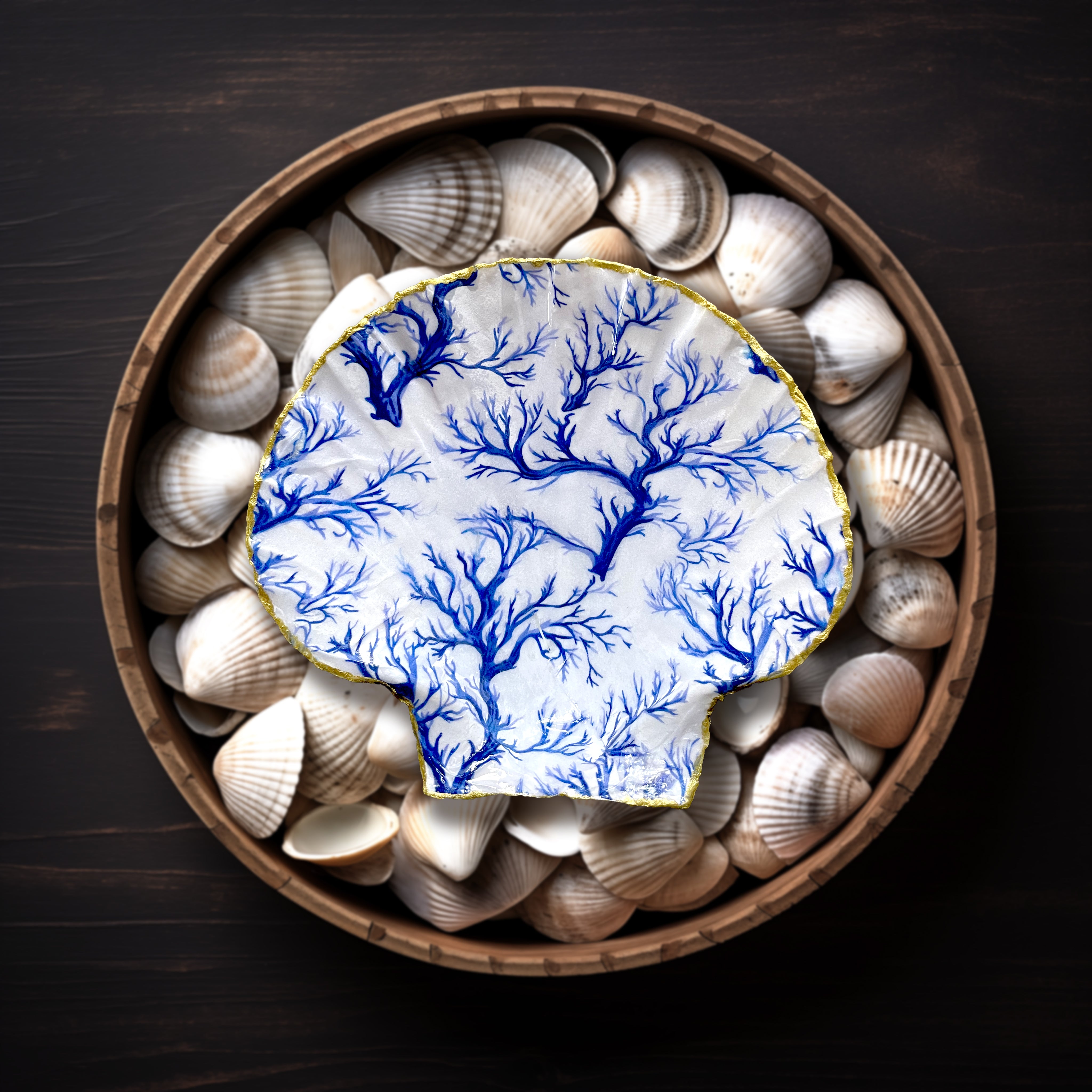 All Scallop Shells – Miranda Thomas Designs